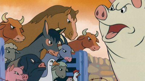 Novel Study – Animal Farm | Learn With Liann